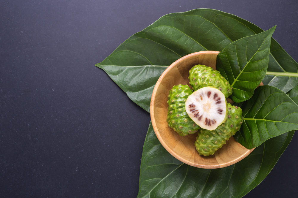 Mengenal Noni Seed Oil dan Manfaatnya untuk Kecantikan - Beauty Journal