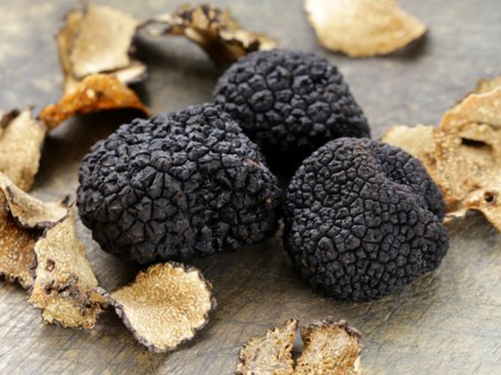Truffle Oil, kandungan pada Skin Care yang Efektif Mencegah Penuaan dan ...